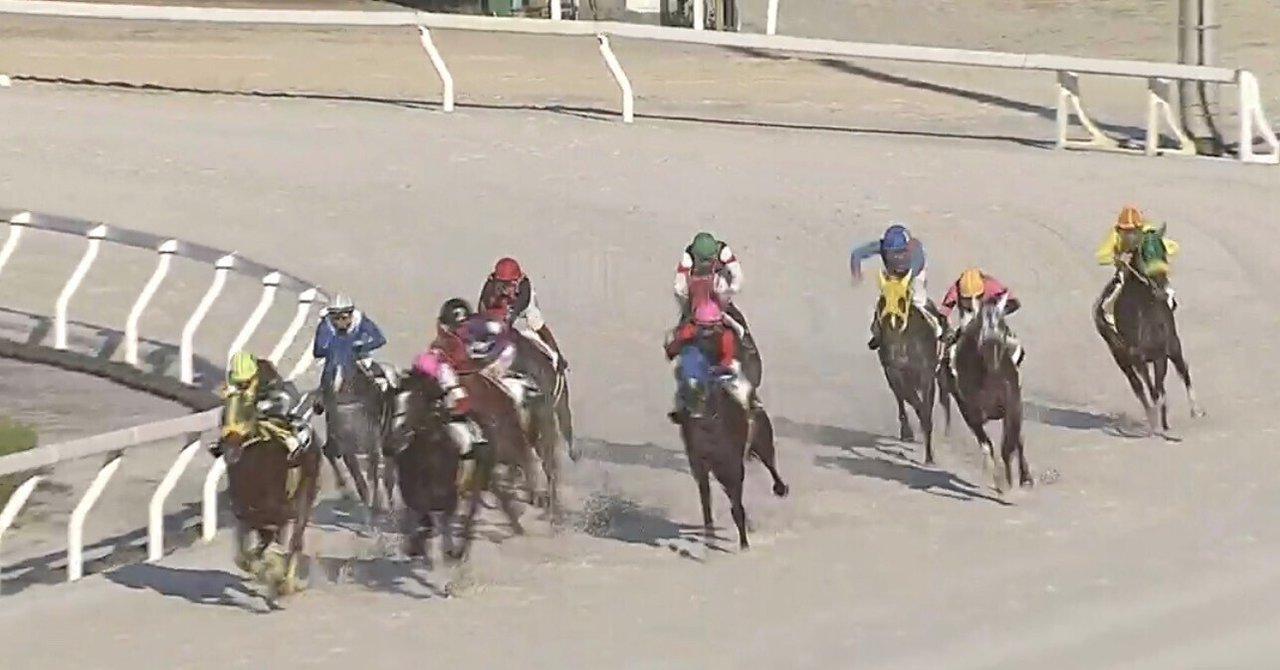 10/14園田競馬と闘うnote:8Rパドック後予想｜馬人all the people