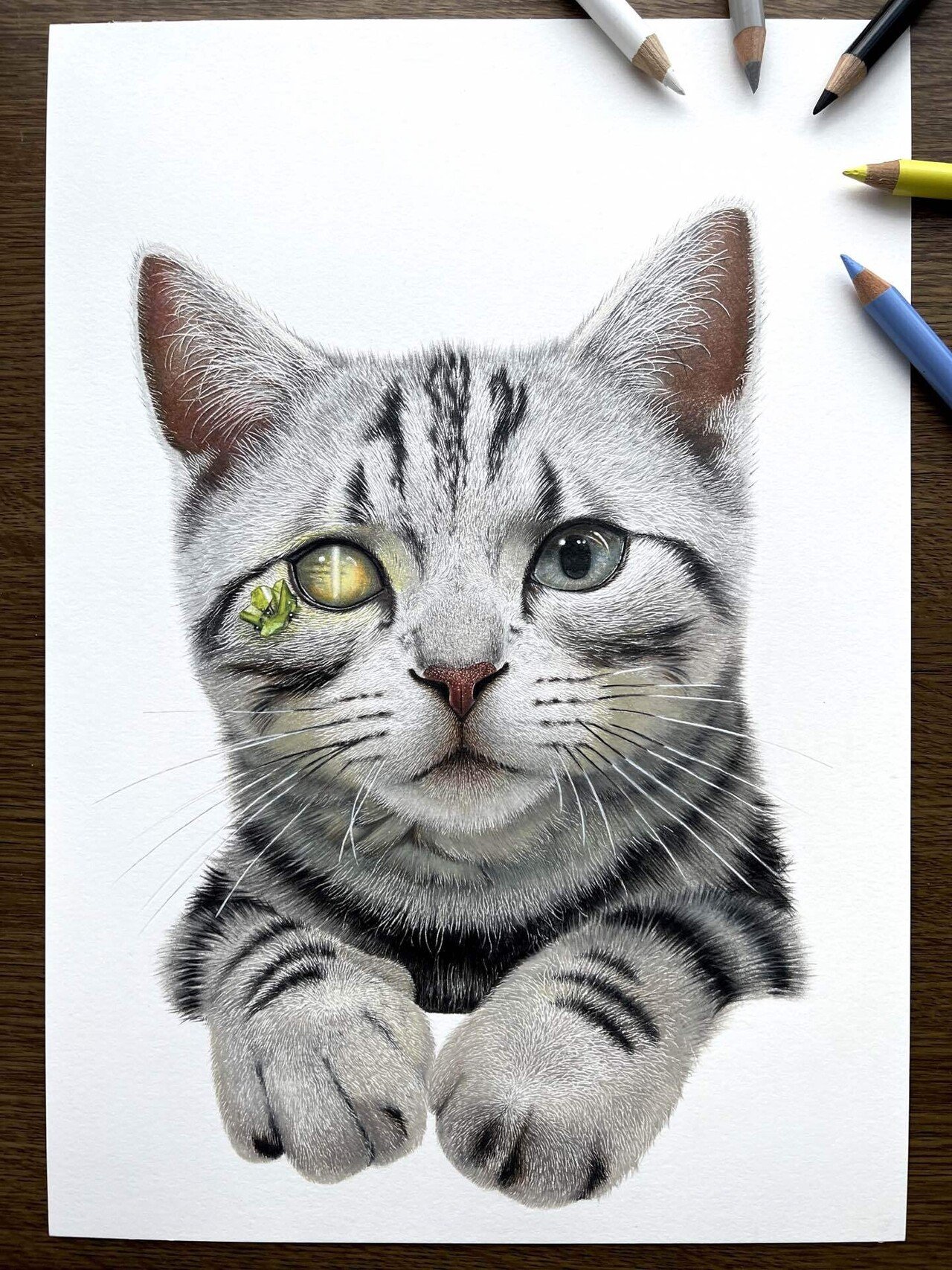 ネコ×クリソベリル･キャッツアイ｜安部祐一朗 Yuichiro Abe