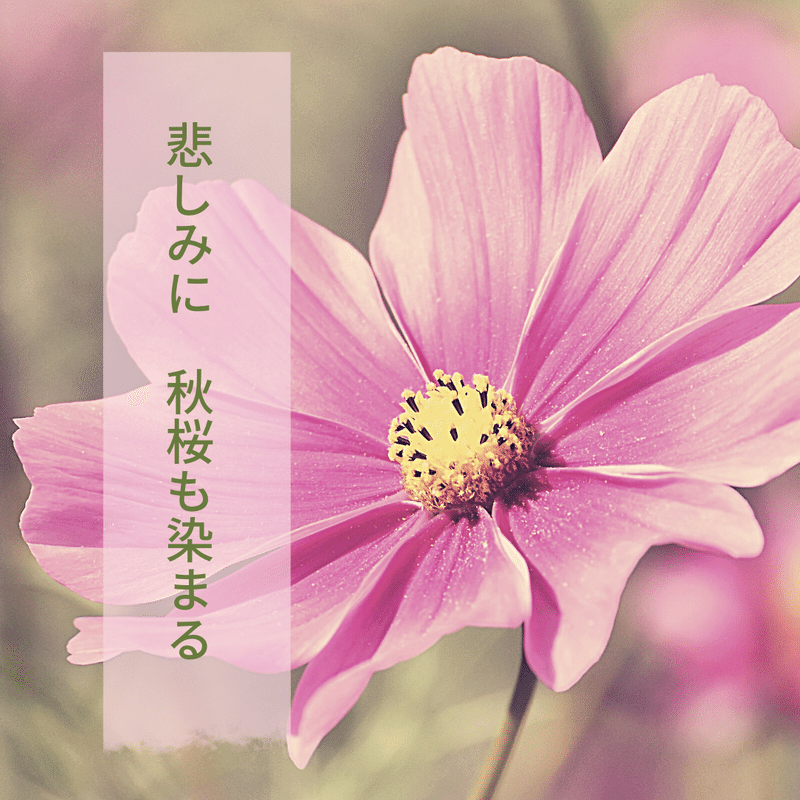 一行詩｜cofumi（こふみ） |詩🖋作詞🎵｜note