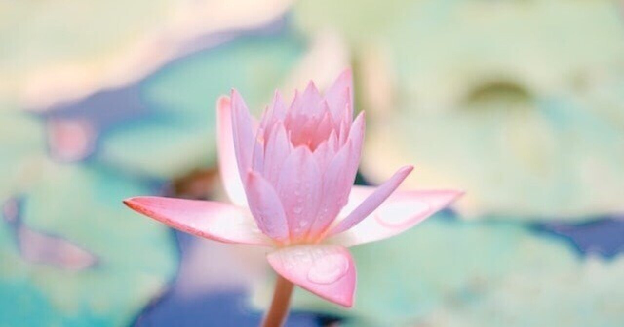 私のこと｜Nao｜note