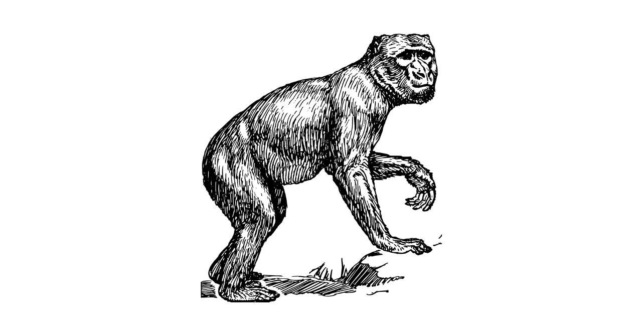 1592文字でサピエンス全史（上巻）｜大学教員H.O.K