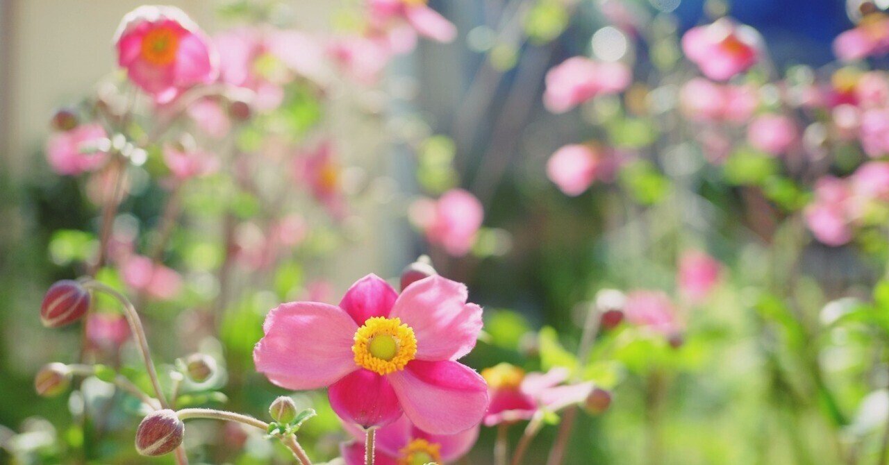 コールセンターで感じているとある変化｜*michi*｜note