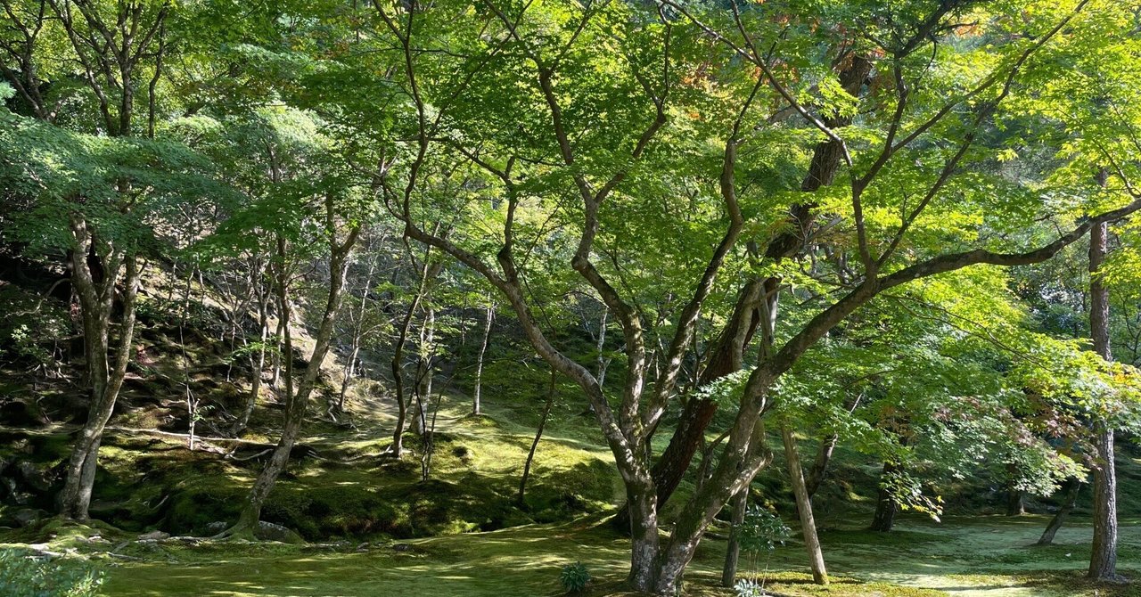 #1099 PCR検査｜浅沼 威行(asanuma)