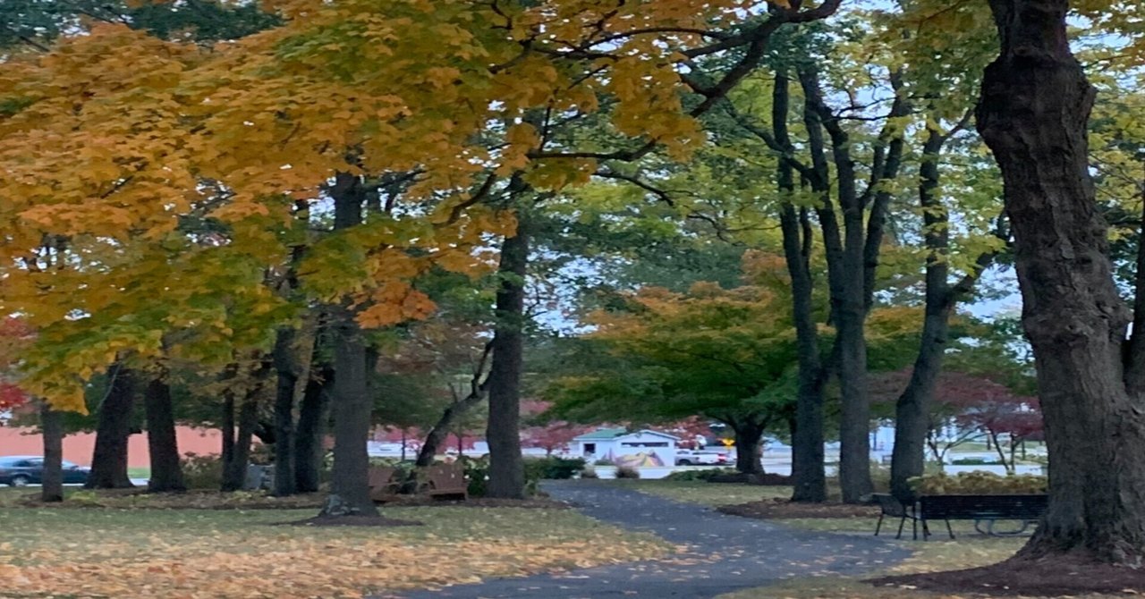 最近気づいたこと｜Miho Kato｜note