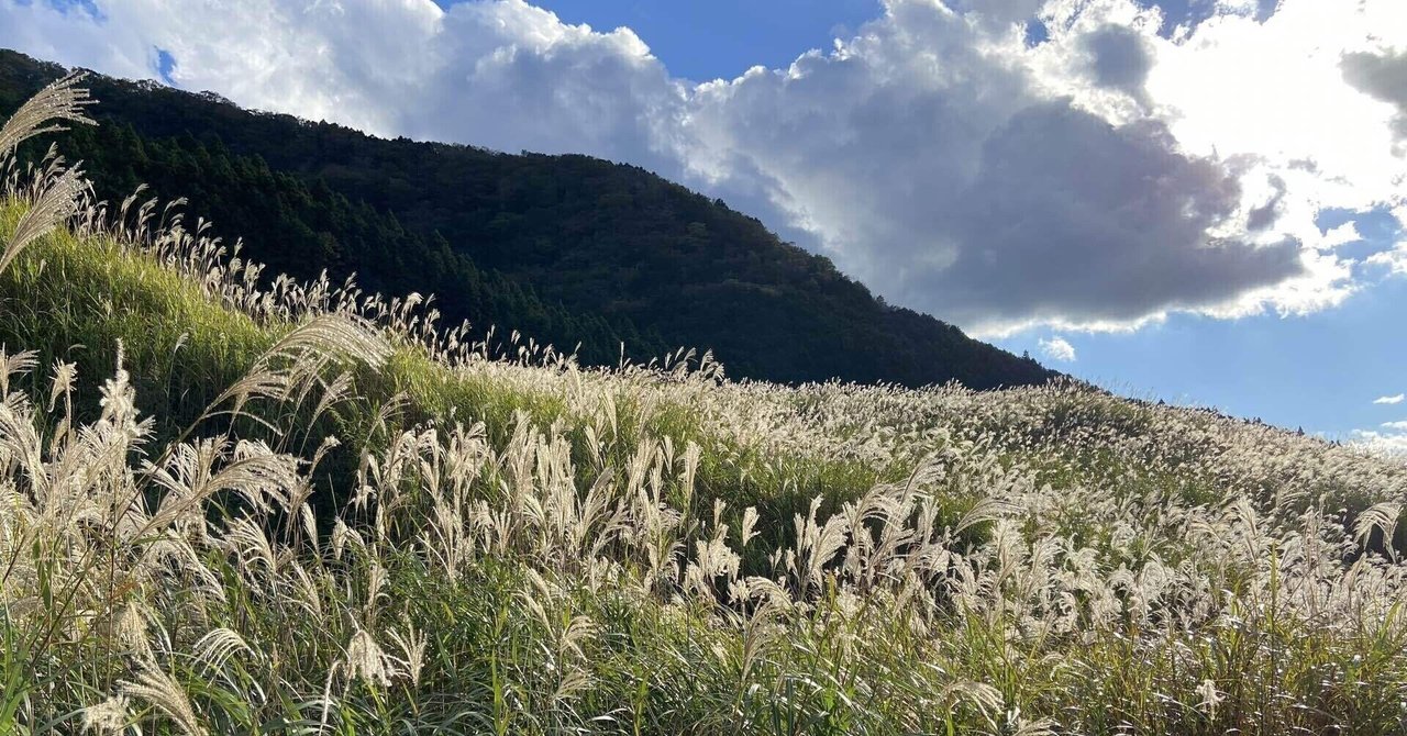 ☆10/17 江戸川11R 15:44☆｜みるく