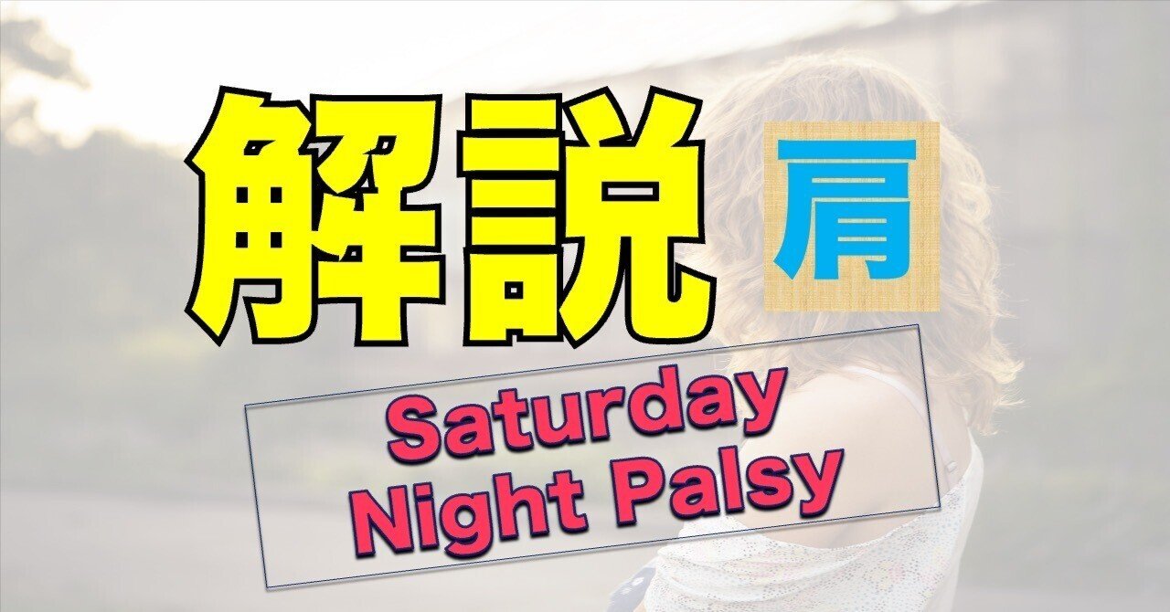 Saturday Night Palsyを紐解く｜Oka/鍼灸理学トレーナー