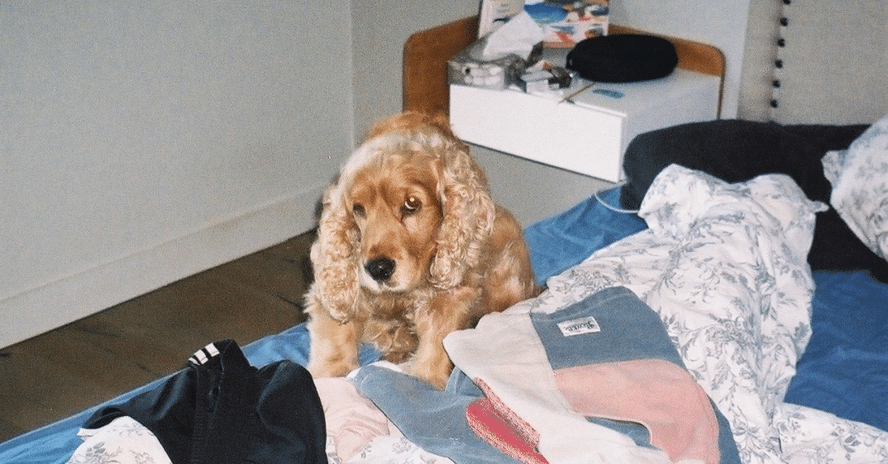 偶然｜d__jiro｜note