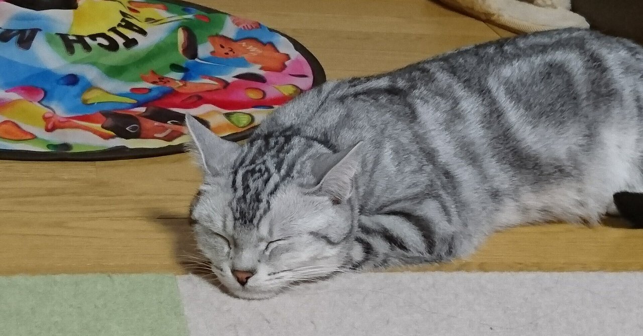 奇跡講座WB実践108 与えることと受け取ることは、真理においてはひとつである｜(Linp&Ruru)本当の自分を知り、本当の自分として生きる