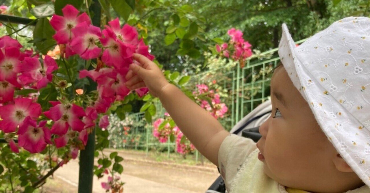 私の中のフェニミズム｜yocco_note