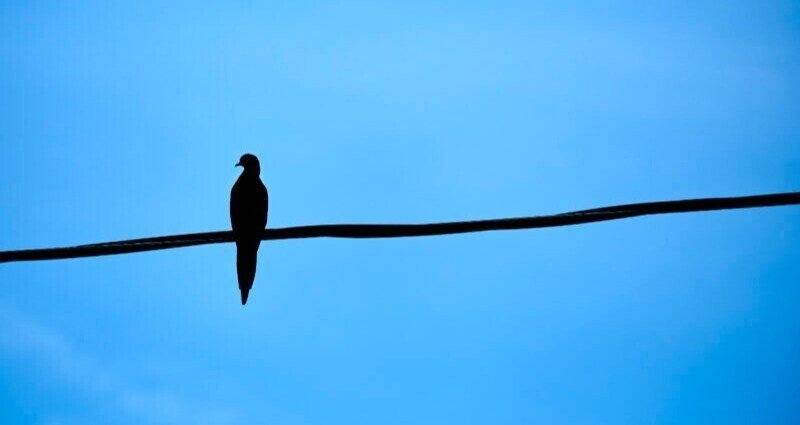 進撃のmama｜note