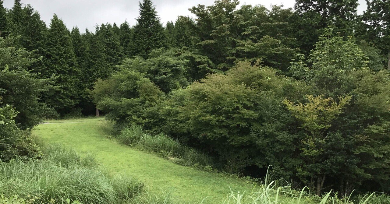 自然の圧がすごい｜saki｜note