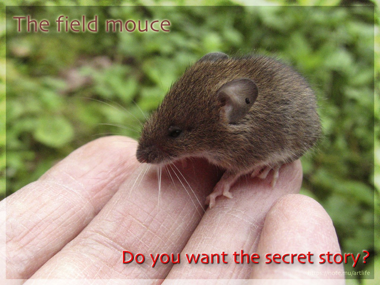 【ボクらはたしかに生きている。】未掲載作 https://note.mu/artlife/n/nec766cf1e007 「なんか用があるなら早くしてくんないかな。ボクだって忙しいんだけど ...