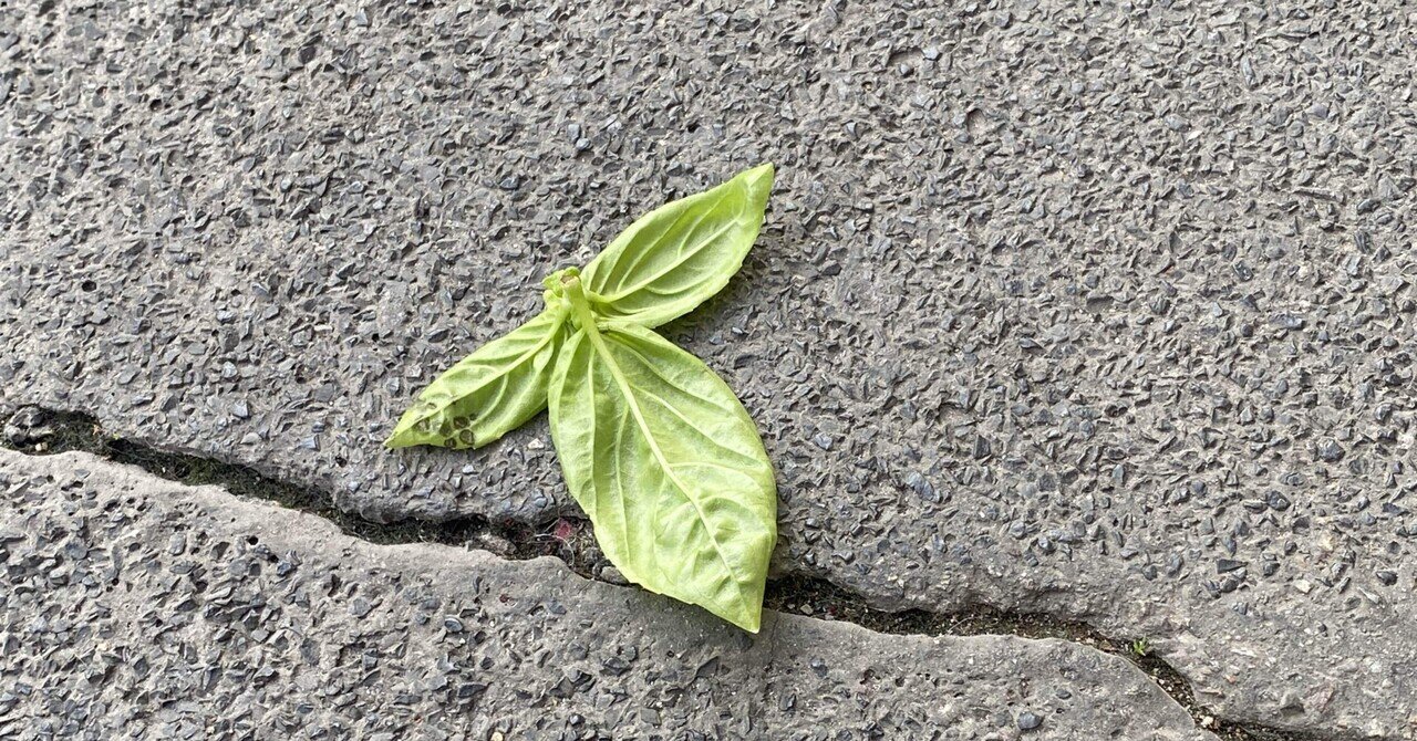 イタリア滞在18日目｜城 拓 / Hiroshi Jo