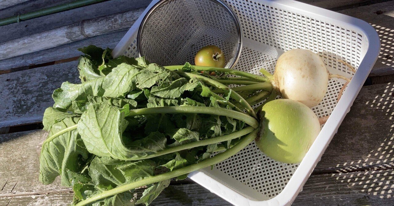 【野菜栽培から季節のドーシャが見える】｜chiechie