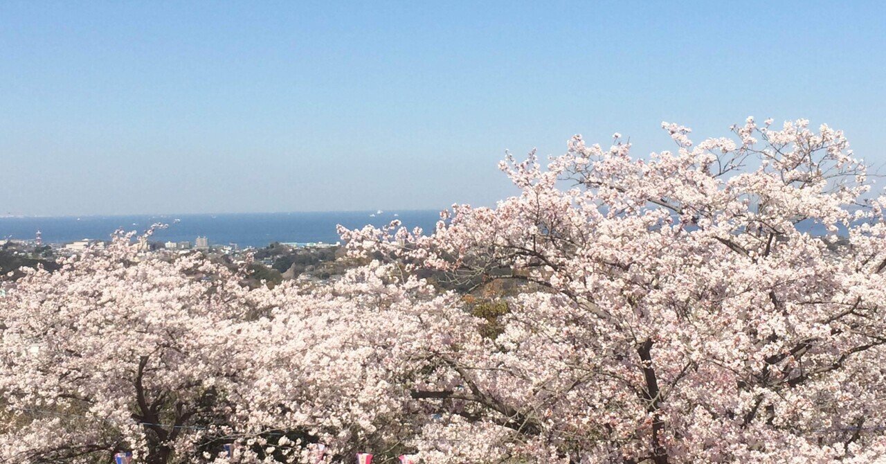 You are my reality ｜Naoki Kitazawa