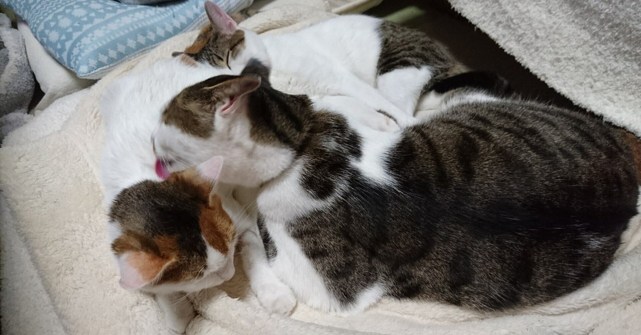 奇跡講座WB実践110 私は神が創造したままの私である｜(Linp&Ruru)本当の自分を知り、本当の自分として生きる