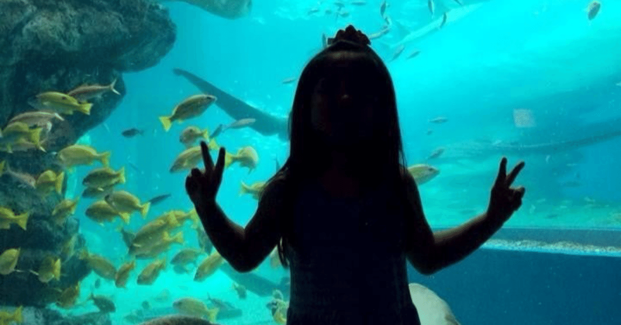 未来は予測できる？｜Jun Sasai （笹井淳）