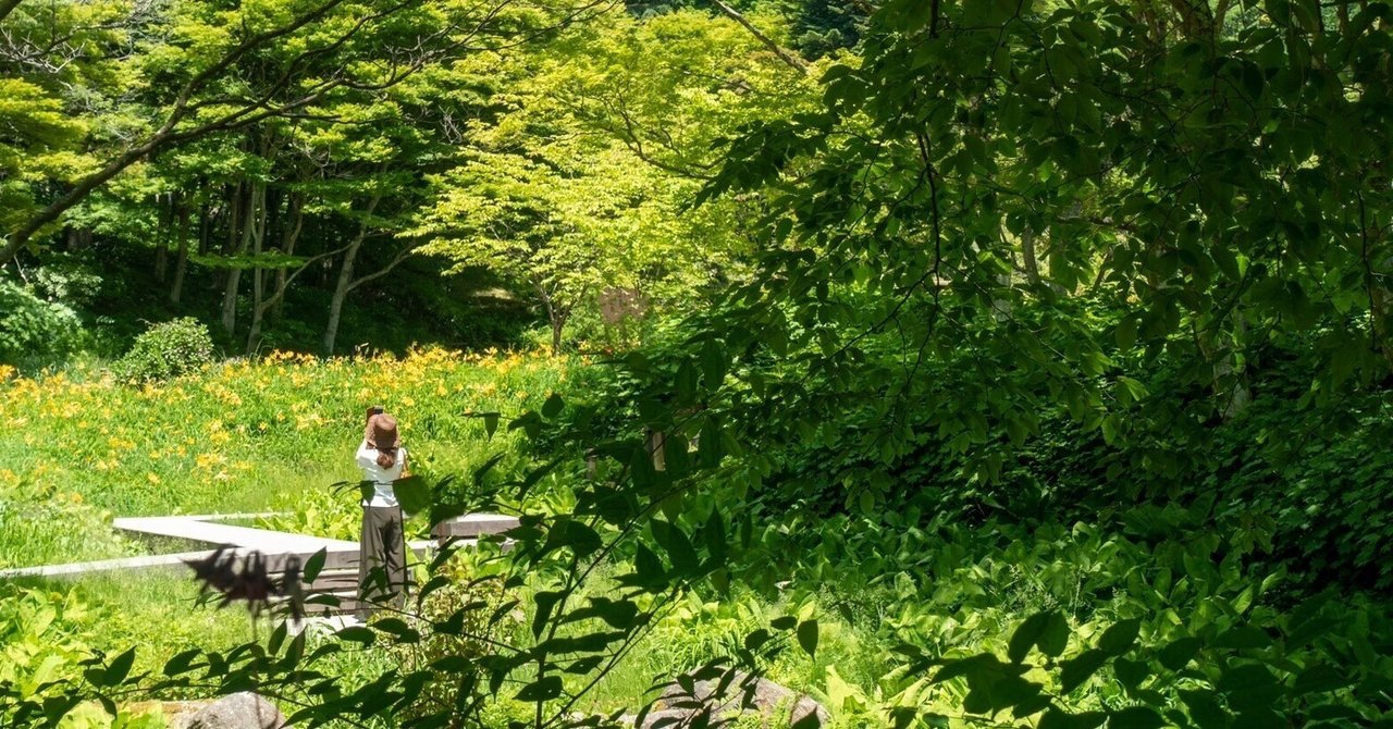 出張を検討中です！｜Yoshie / Petit Lapin