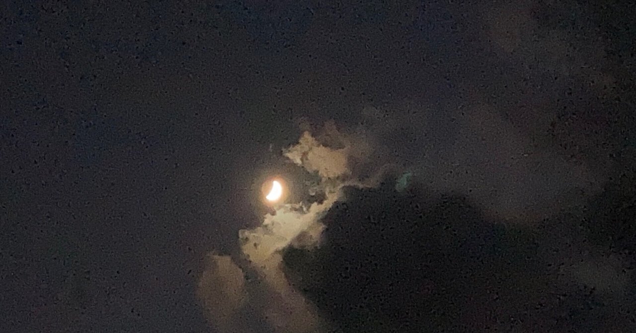 考察の手順書｜湊谷翔-Minatoya Kakeru-｜note