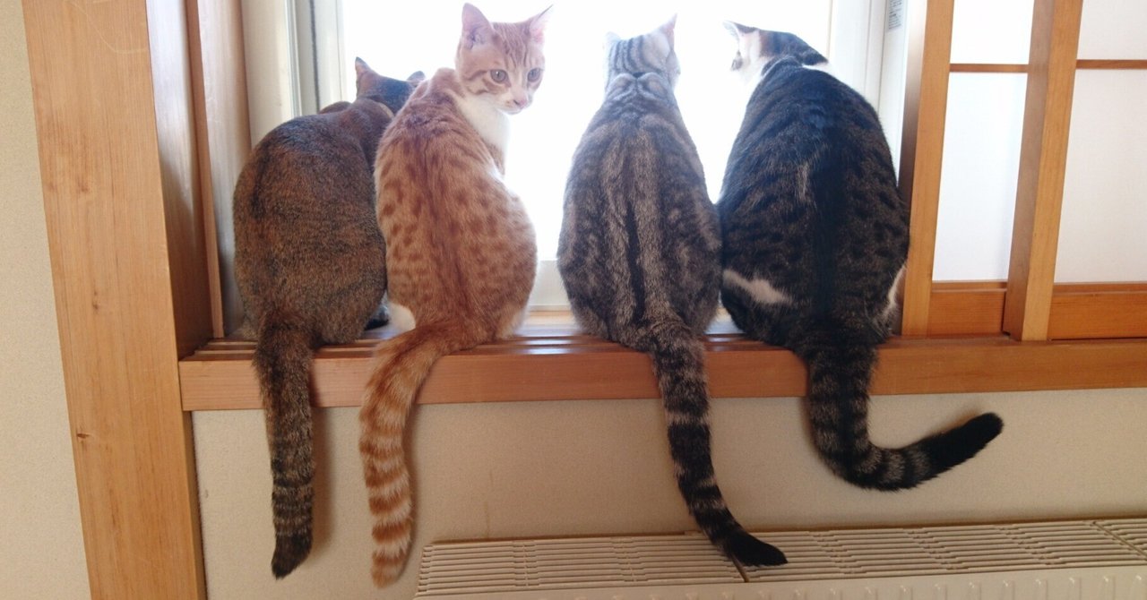 奇跡講座WB実践111 復習91、92｜(Linp&Ruru)本当の自分を知り、本当の自分として生きる