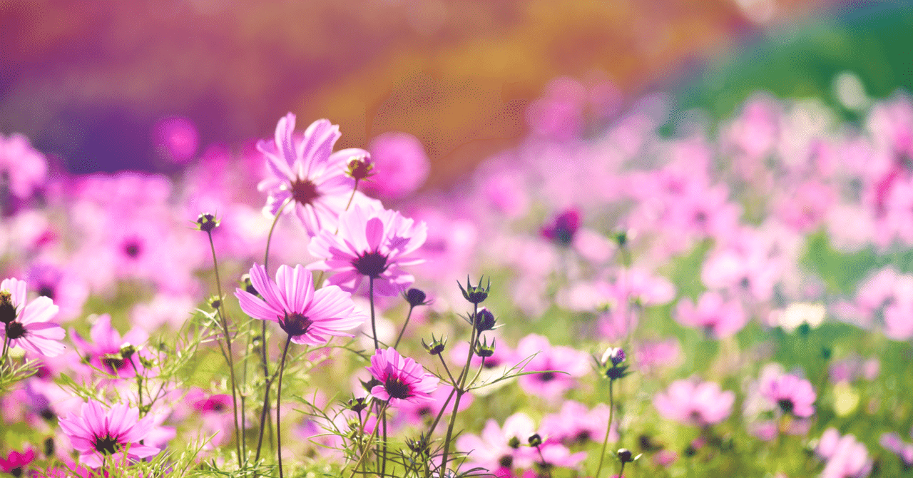 （5-10）神内先生との出会い【 45歳の自叙伝 2016 】｜Yoshiaki Naoe