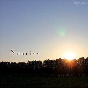 Sunrise｜charly_jp