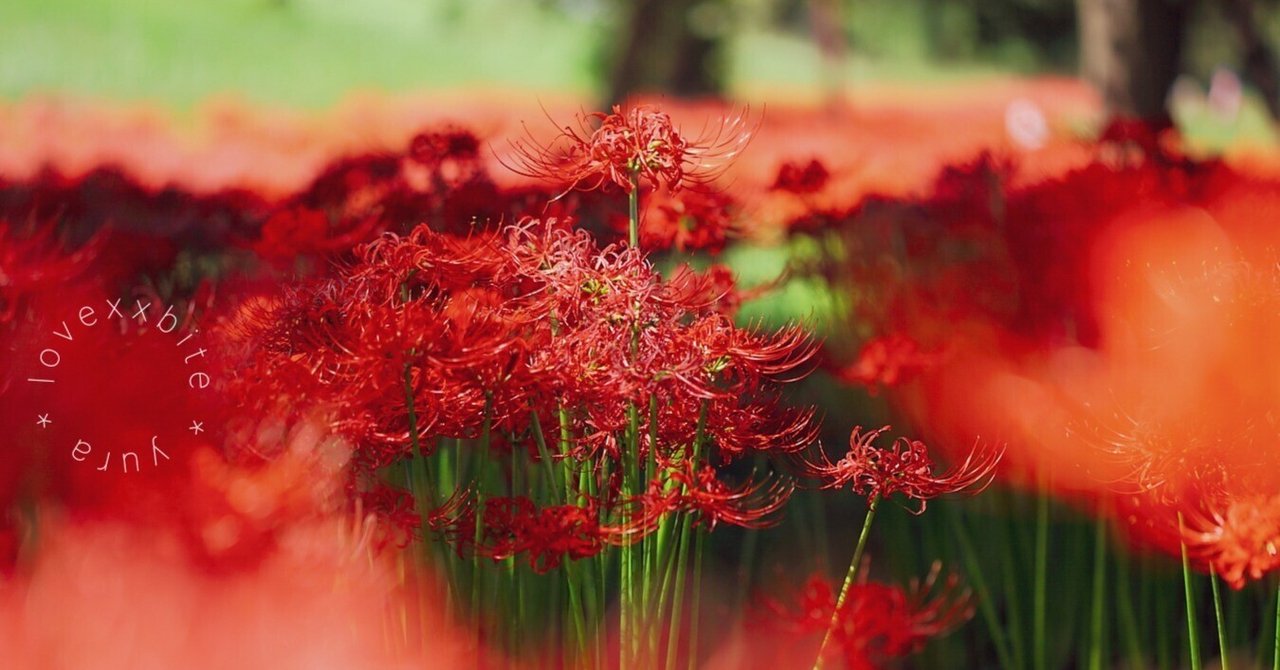 20221022｜yura｜note