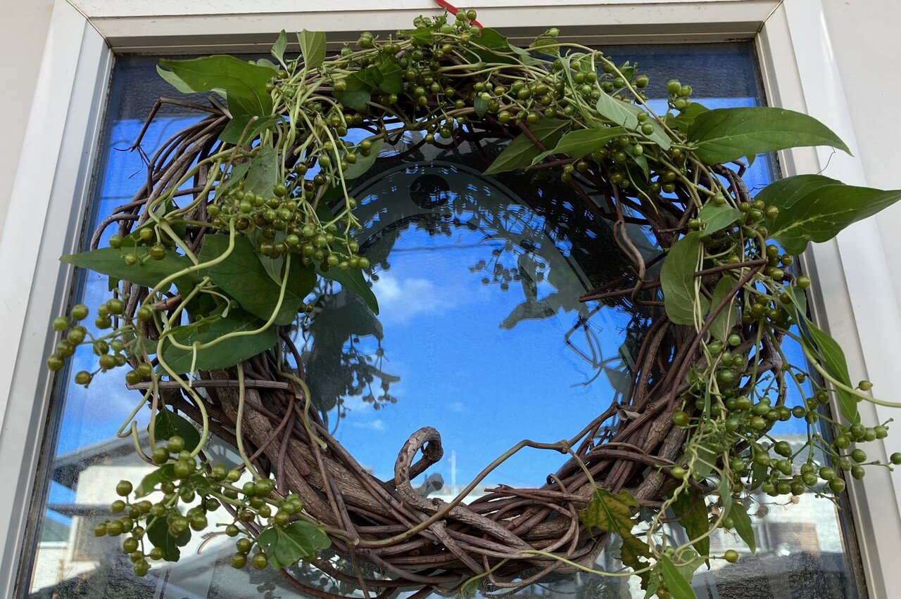 テニスコートのフェンスに絡まっていた実…色が変わっていくようです。何の実かなぁ(・・?)ちょうど青空が映った╰(*´︶`*)╯♡ 十六夜杯 あさって10/25 19:49(新月の時刻)までです ...