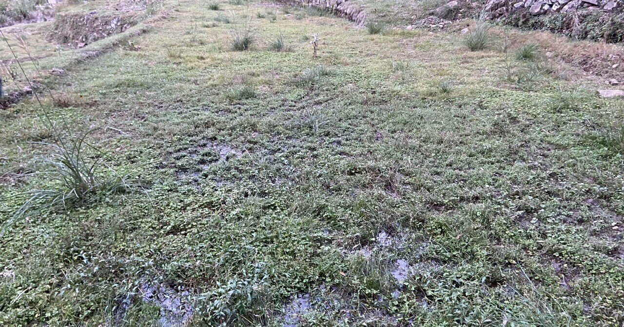 農地について｜Tact Masuda｜note