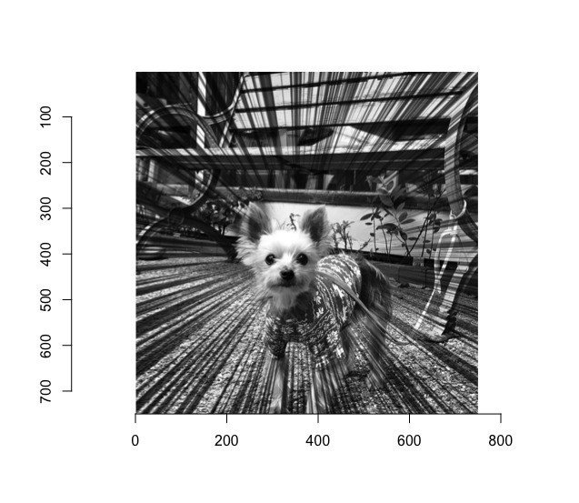 R｜imagerパッケージで画像処理｜hanaori
