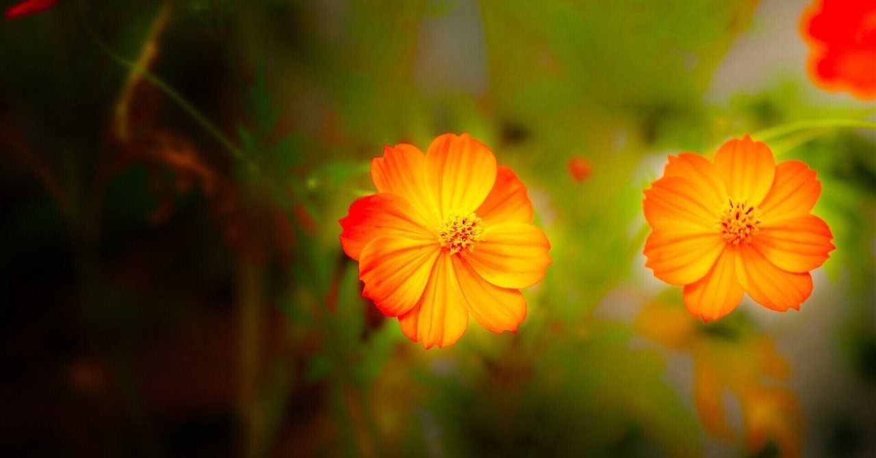 裸の王様10月22日｜夢・希望を育てるHP369