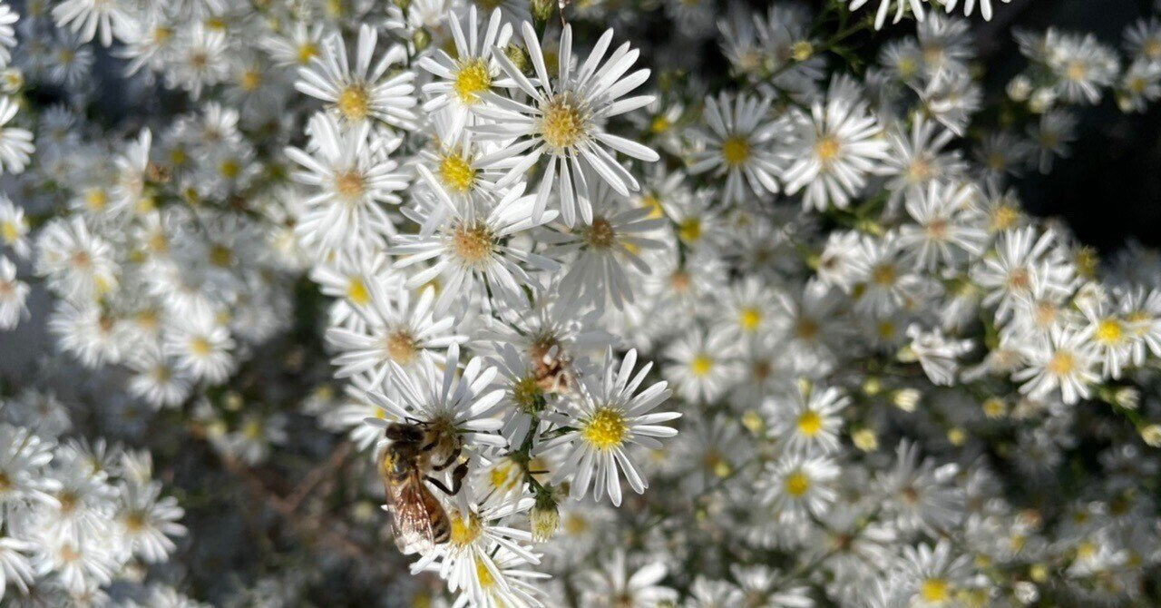 脱稿＆｜Aya Watanabe