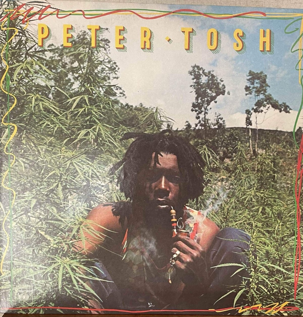 素晴らしきルーツロックレゲエ｜domus