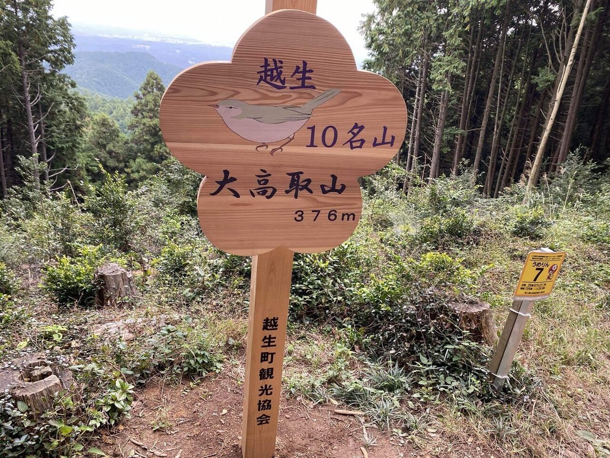 第二回ジャングルぐるぐるMAX｜mitsu.akai