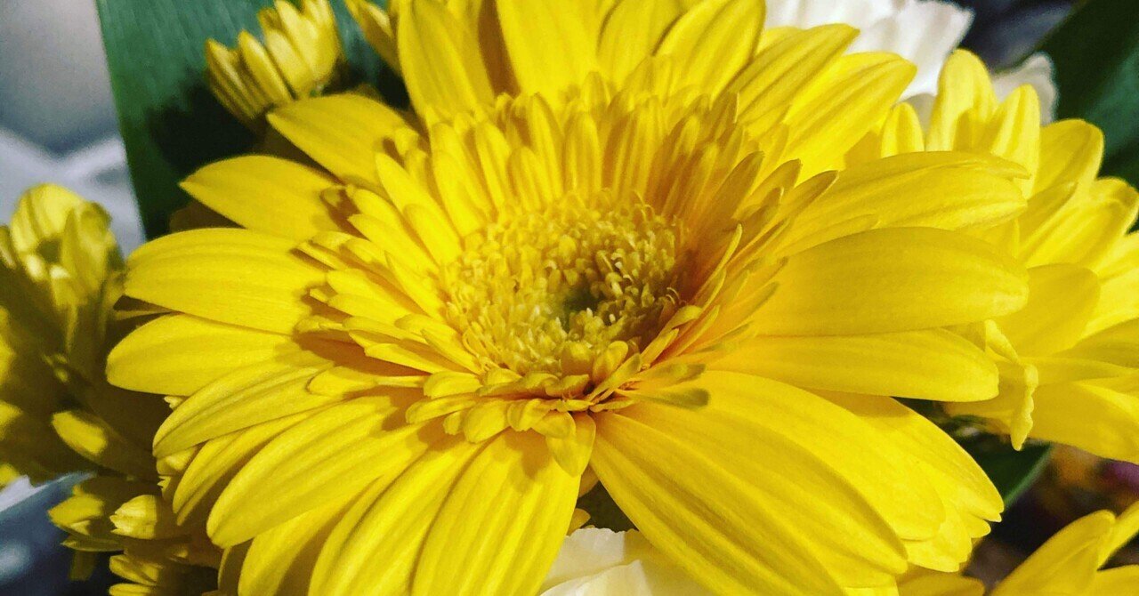 唐突に本を紹介します。｜yuko｜note