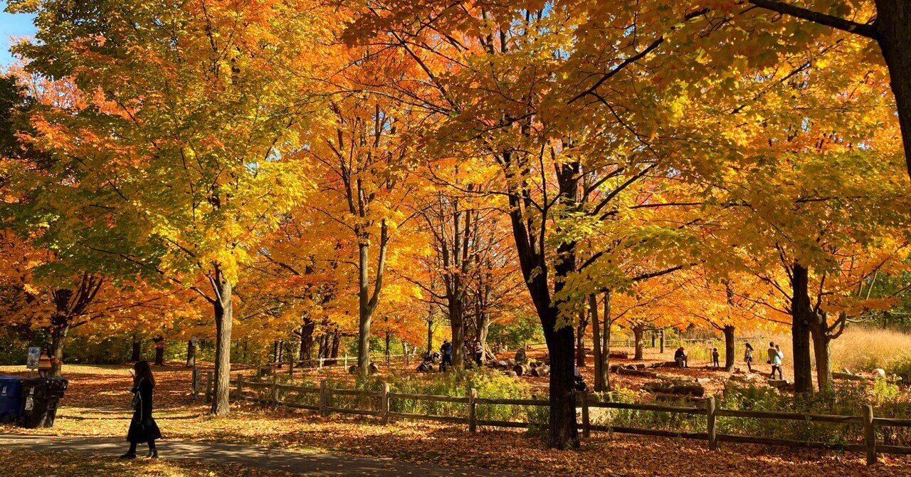 恋が始まろうとした。｜Hayato