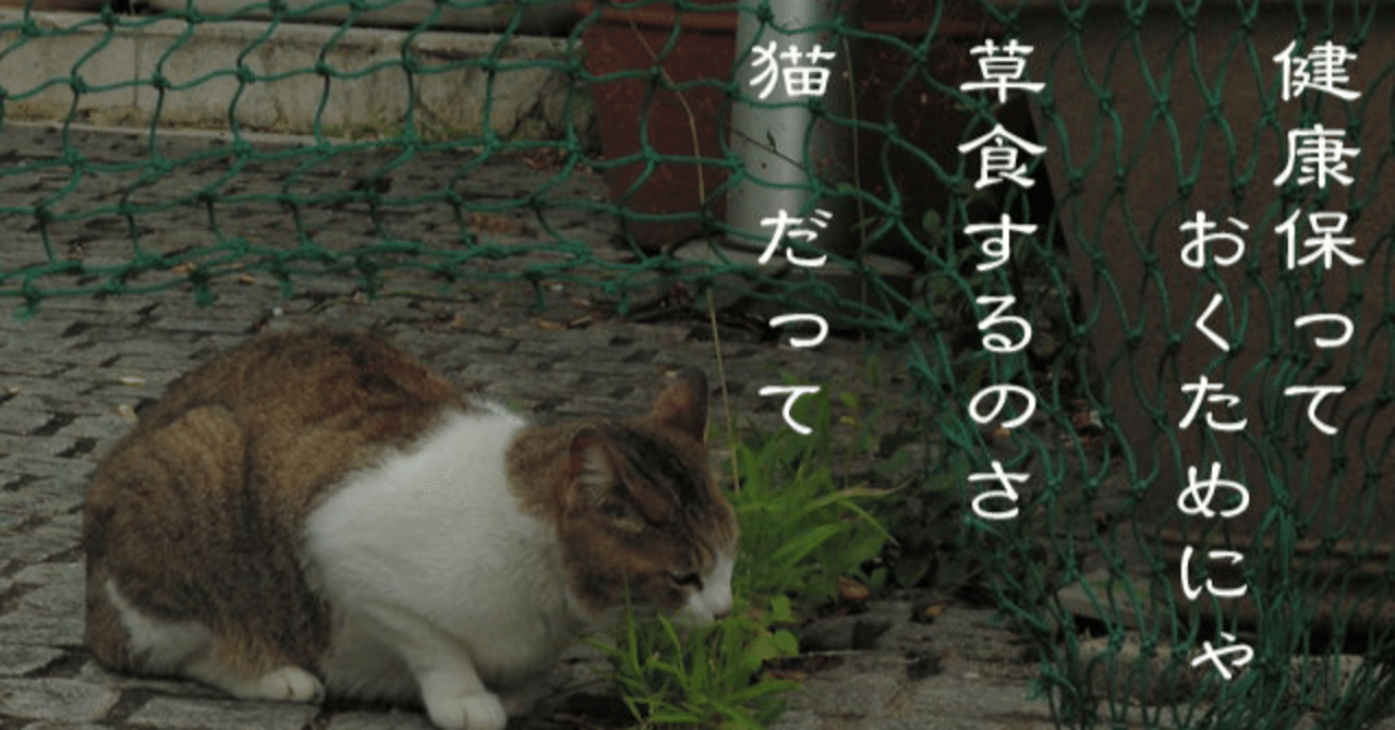 食事改善のマインドセット｜asami_keto