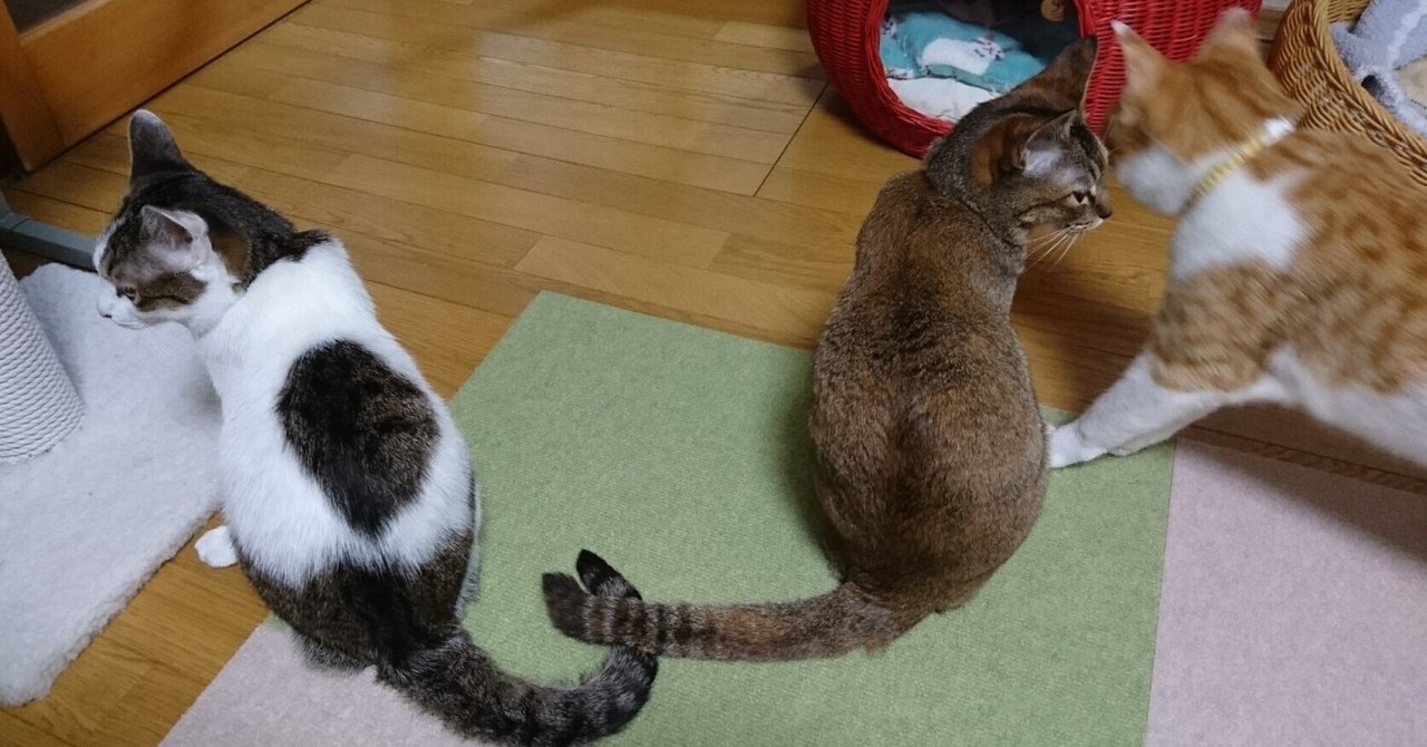 奇跡講座WB実践115 復習99、100｜(Linp&Ruru)本当の自分を知り、本当の自分として生きる