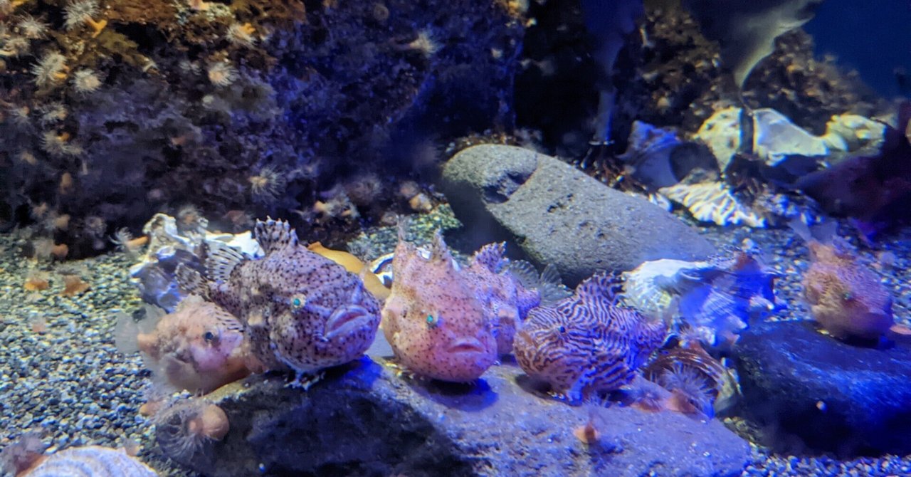 2022/10/25火 スプライト｜6ry｜note