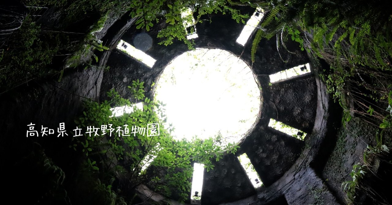 高知県立牧野植物園｜建築士のあたまの中～sawa-architect｜note