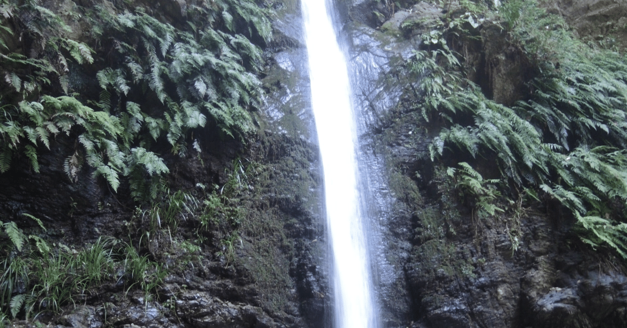 FX自動売買で100万円チャレンジ 〜8日目〜｜sayama_ocha