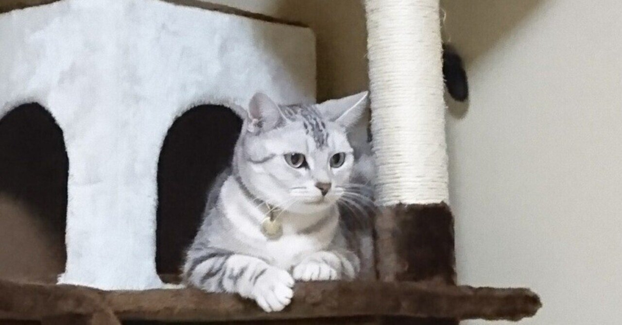 奇跡講座WB実践116 復習101、102｜(Linp&Ruru)本当の自分を知り、本当の自分として生きる