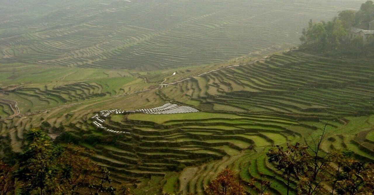 卍固めと1か条奥伝（上）｜juzen