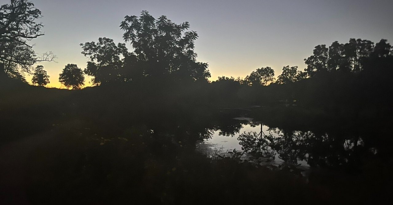 09/13/2022｜Mizuki Fujiwara