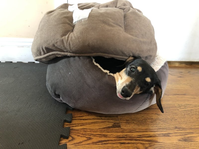 ぴの耳より"フライヤー"(10/27)情報｜SENRI OE 大江千里｜note