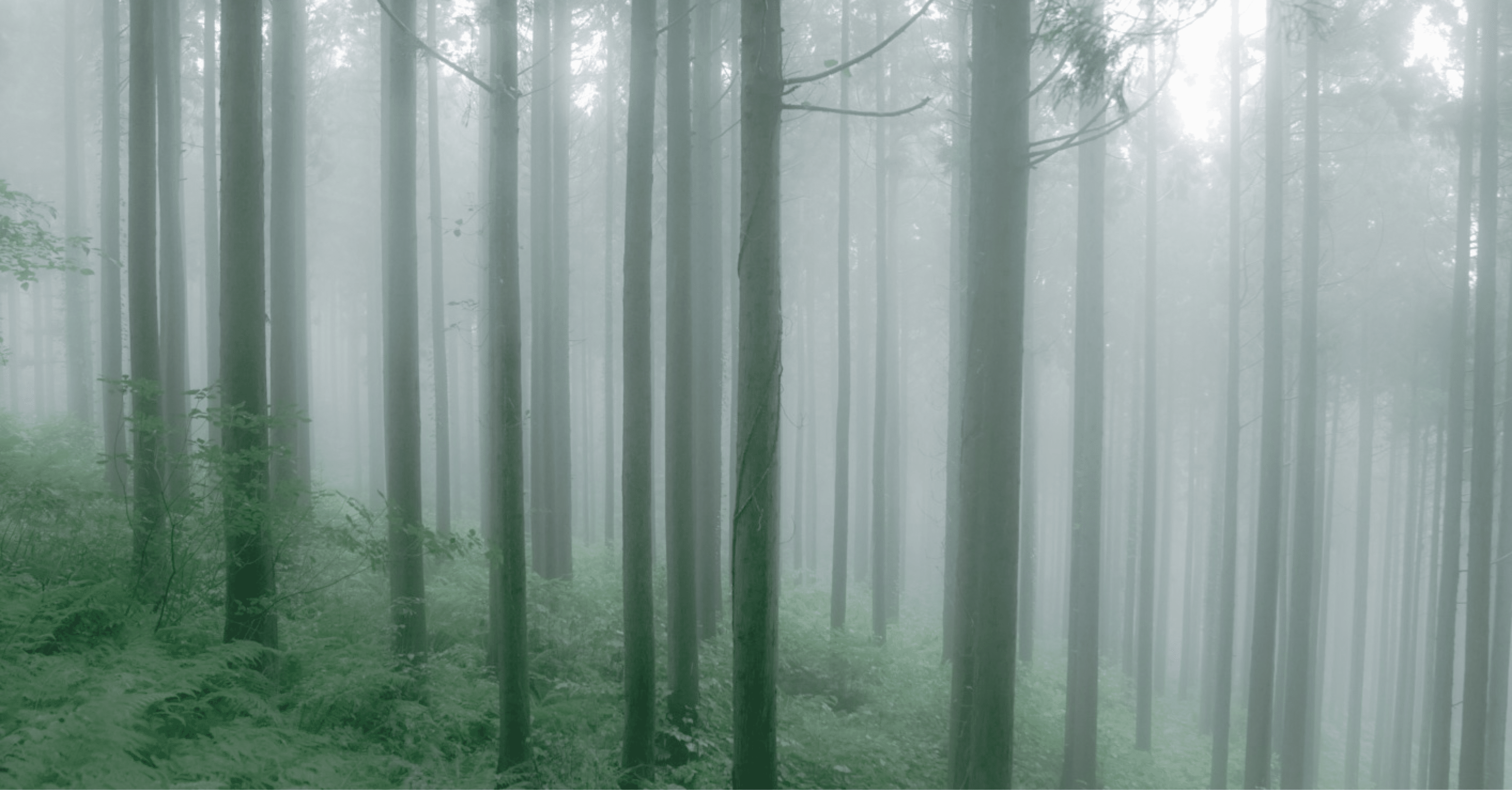 Arata No Restart｜note