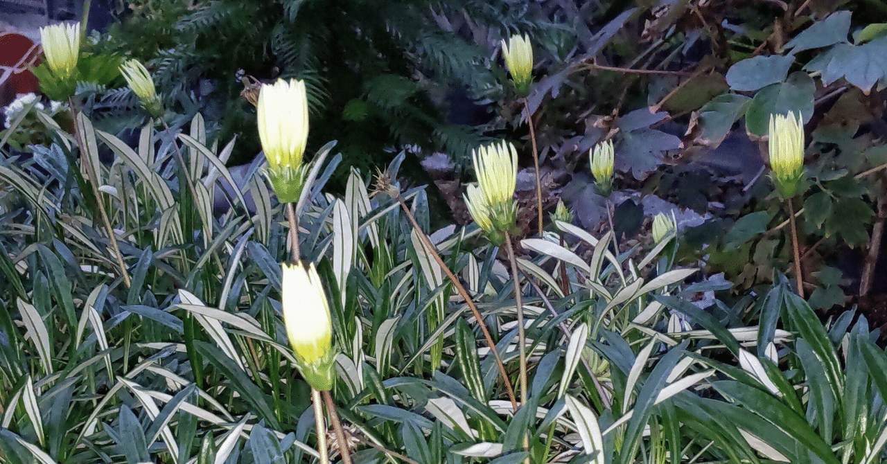 日記 20221027｜lefthorse｜note