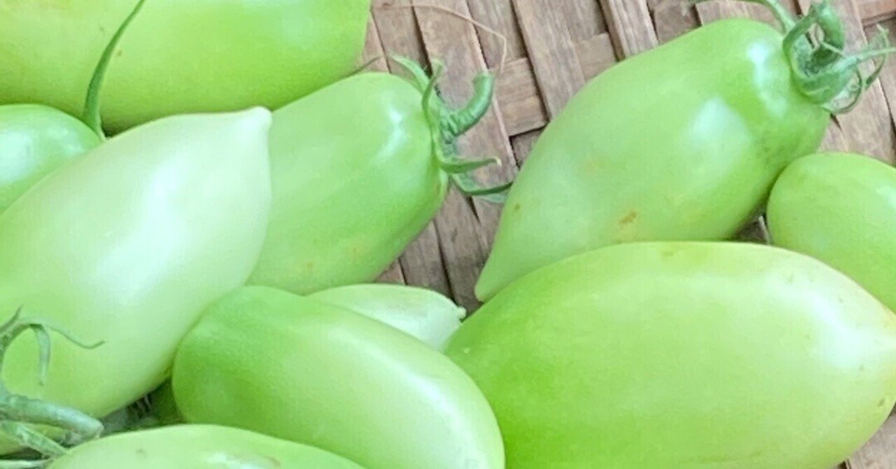 《Yuri's Farm》8ヶ月後｜Yuri@癒快ケアセンター