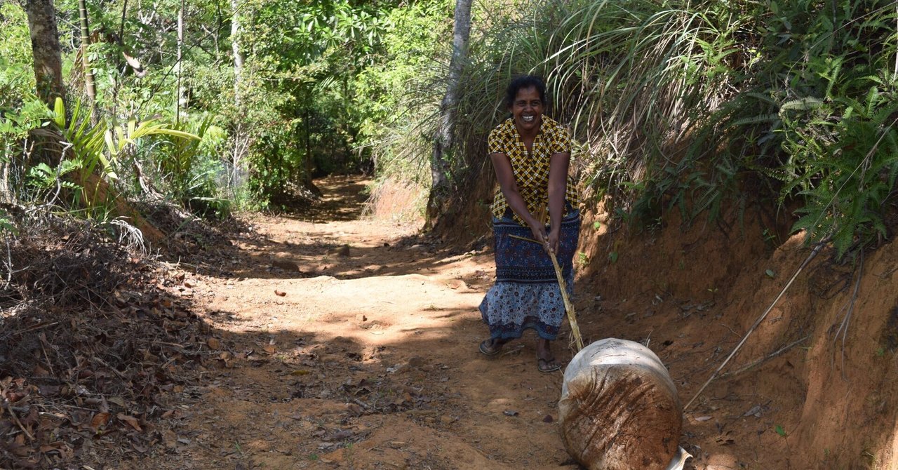 DAY11 やっぱり、スリランカはすごい国だ。｜Meraki12｜note