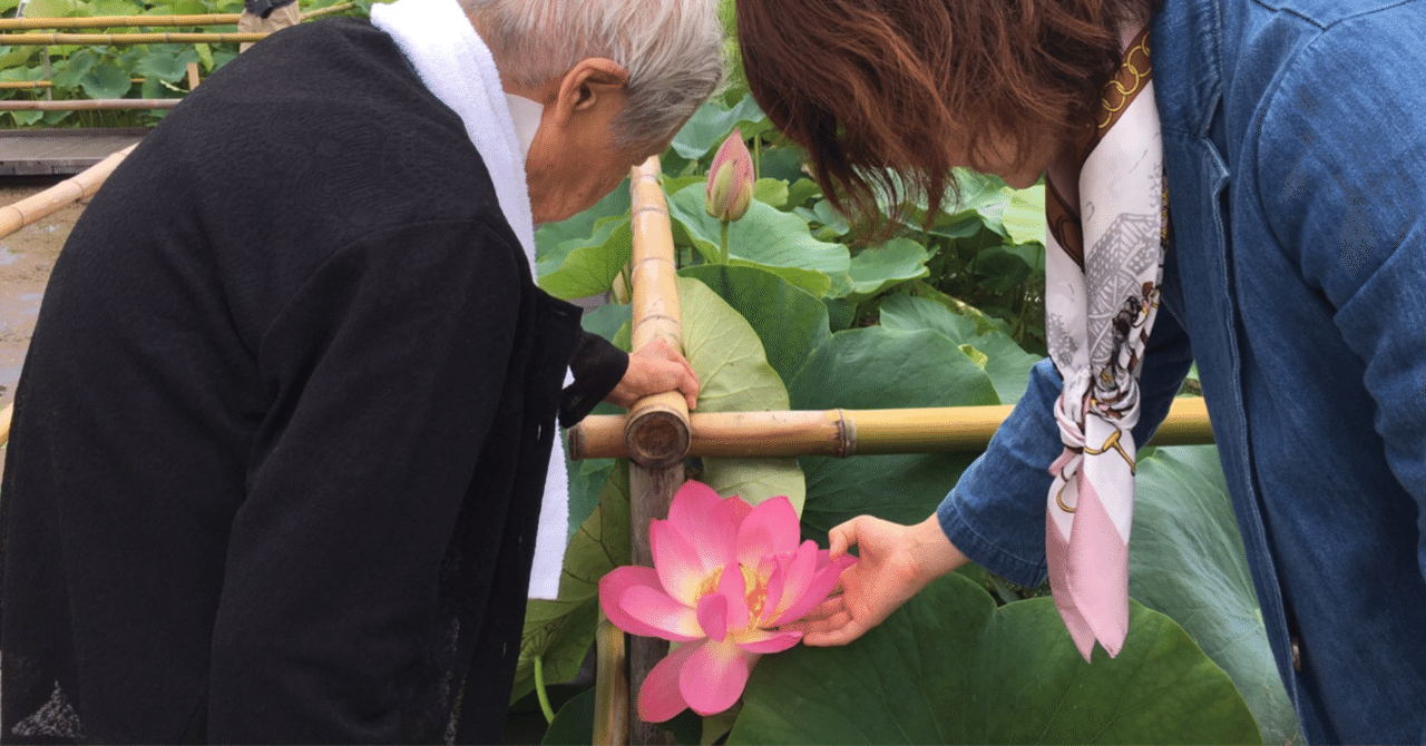 優しい言葉が似合う人になりたい。｜yuko